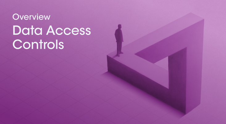 Data Access & Intelligence Governance Blogs - Securiti Data Access & Intelligence Governance Blogs - Securiti