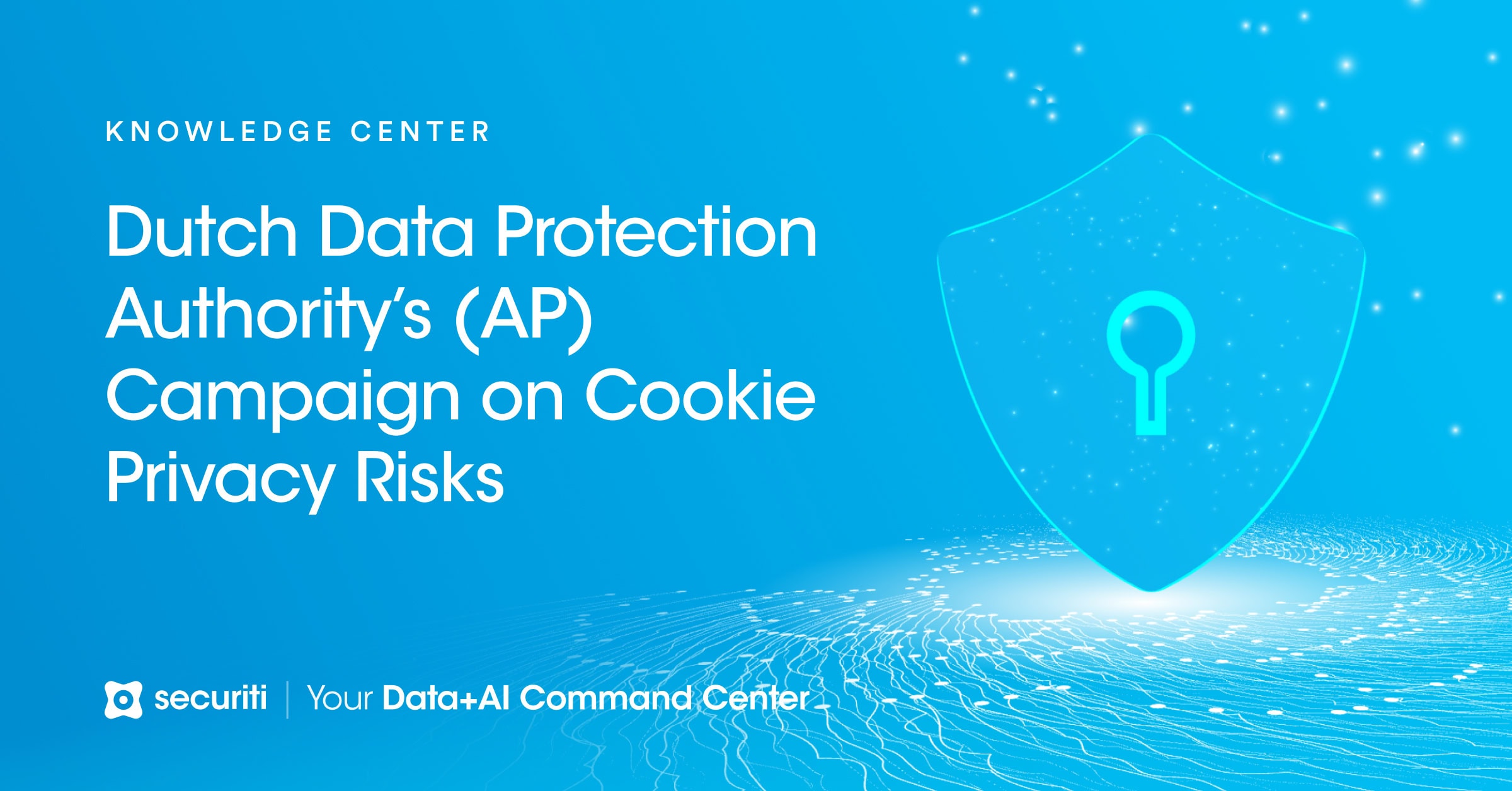 Dutch Data Protection Authority’s (AP) Campaign on Cookie Privacy Risks ...