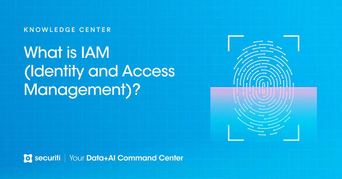 What is IAM (Identity and Access Management)? - Securiti