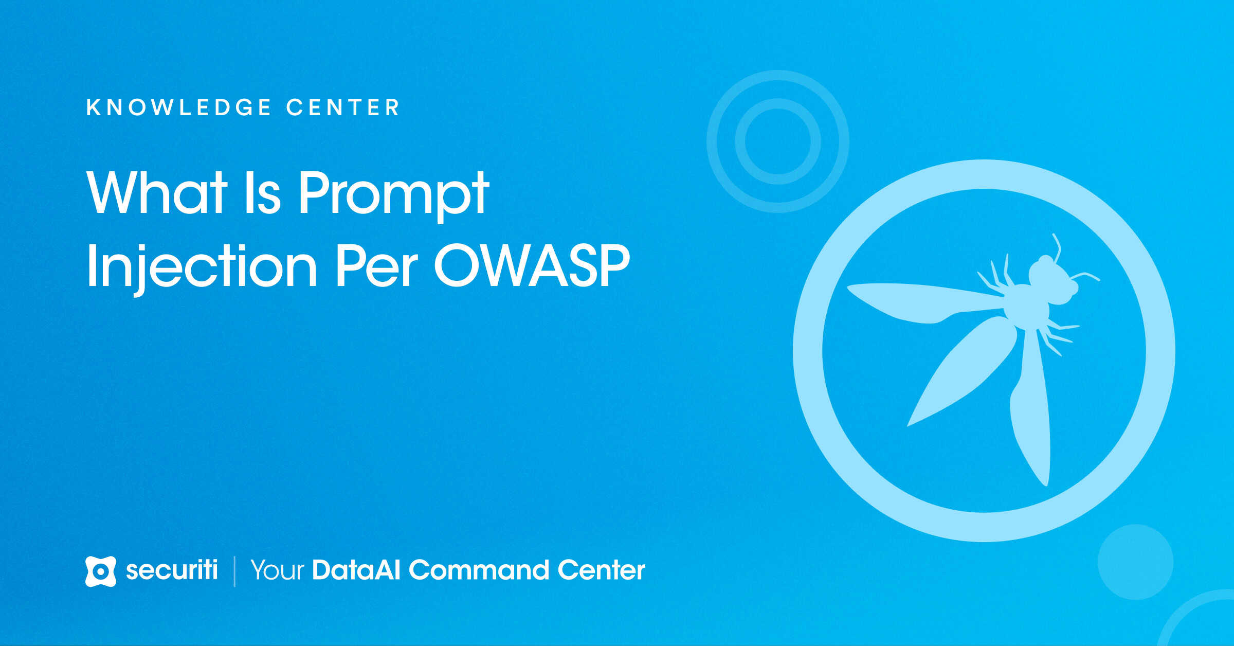 LLM01 OWASP Prompt Injection: Understanding Security Risk in LLM ...